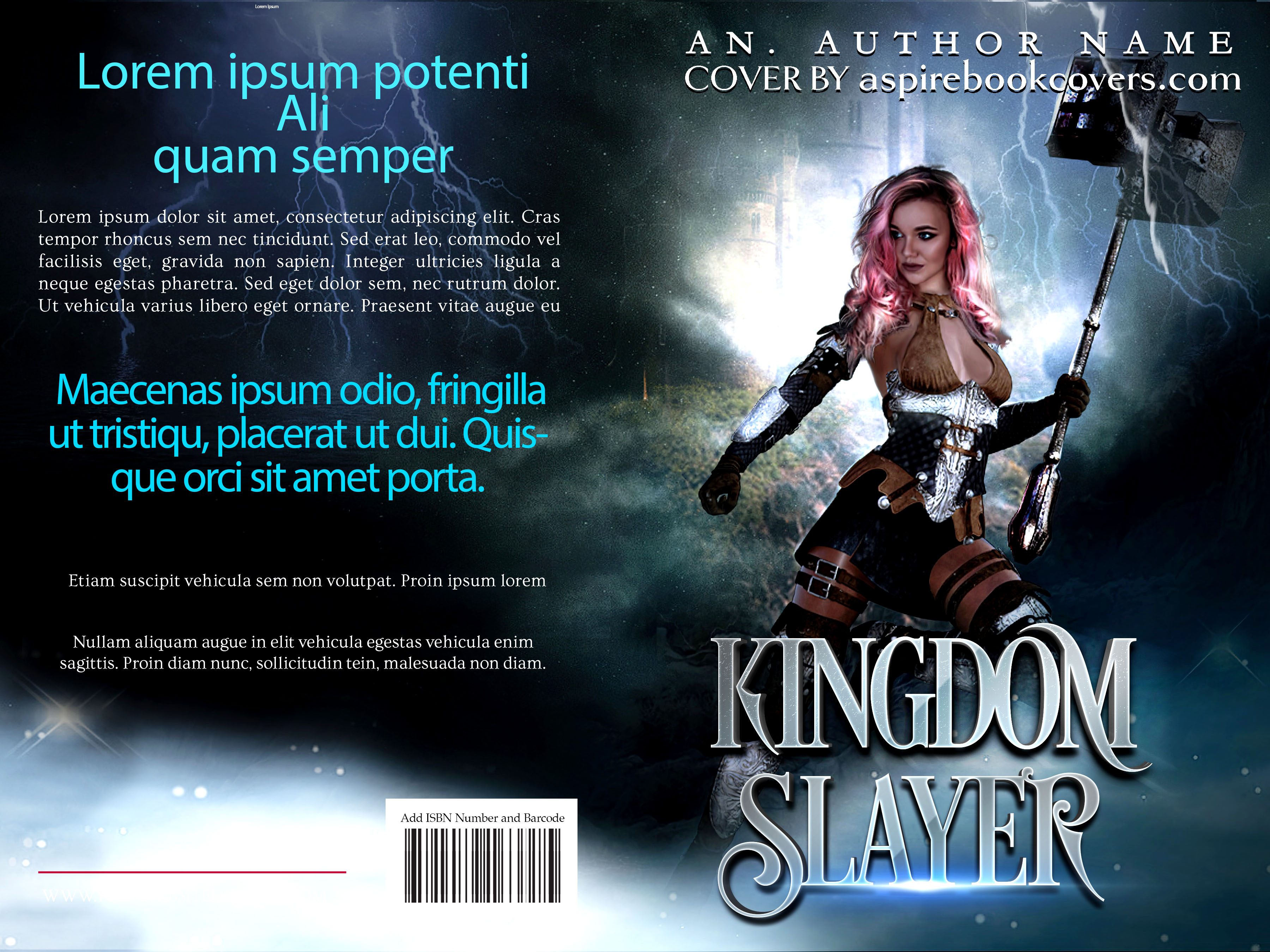 KINGDOM SLAYER – Aspire Book Covers