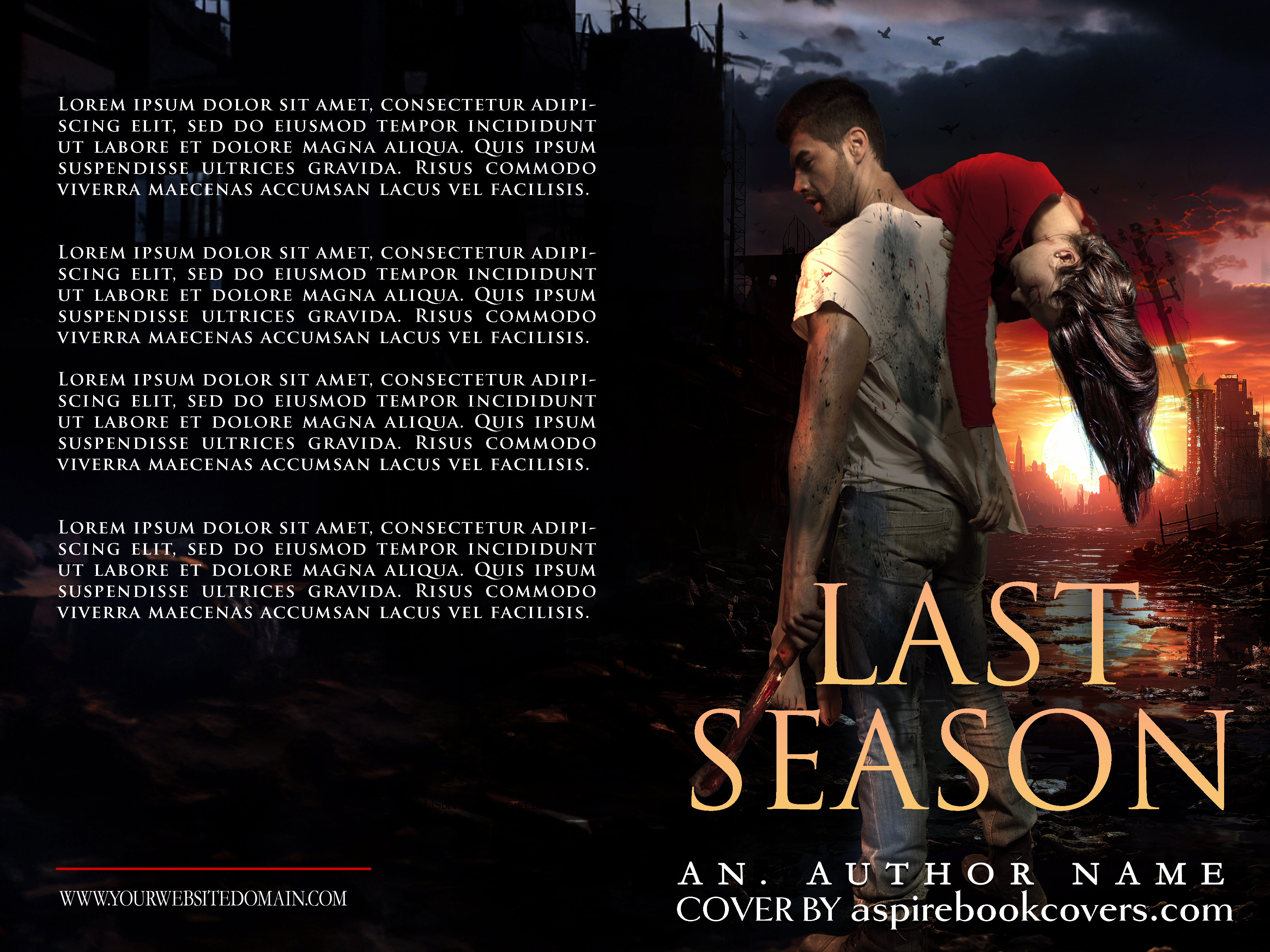 LAST SEASON – Aspire Book Covers