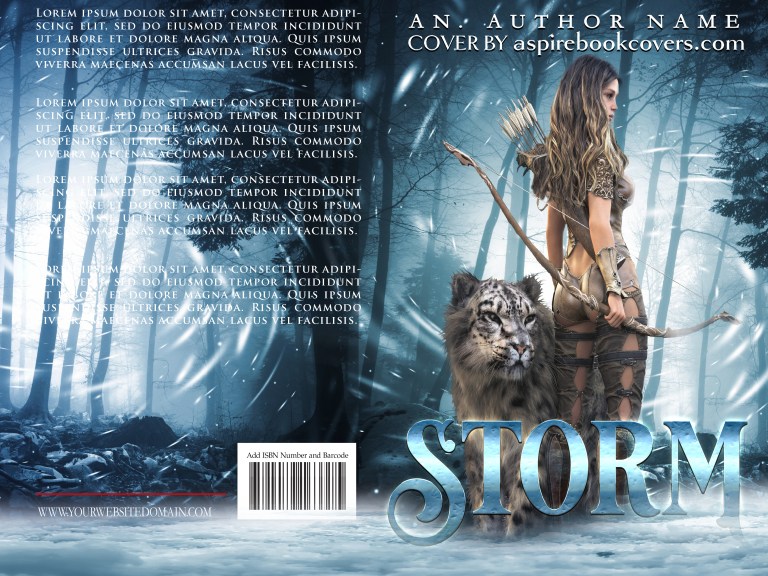 STORM – Aspire Book Covers